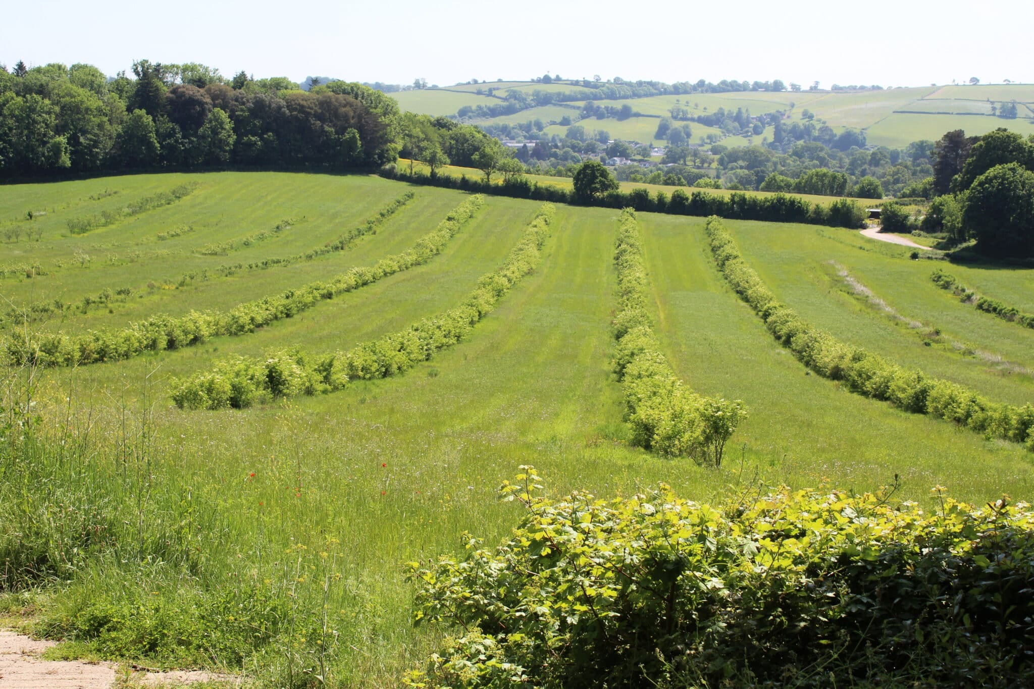 Royal Welsh Feature County 2025 Launch Hill Farming Event at the Winter ...