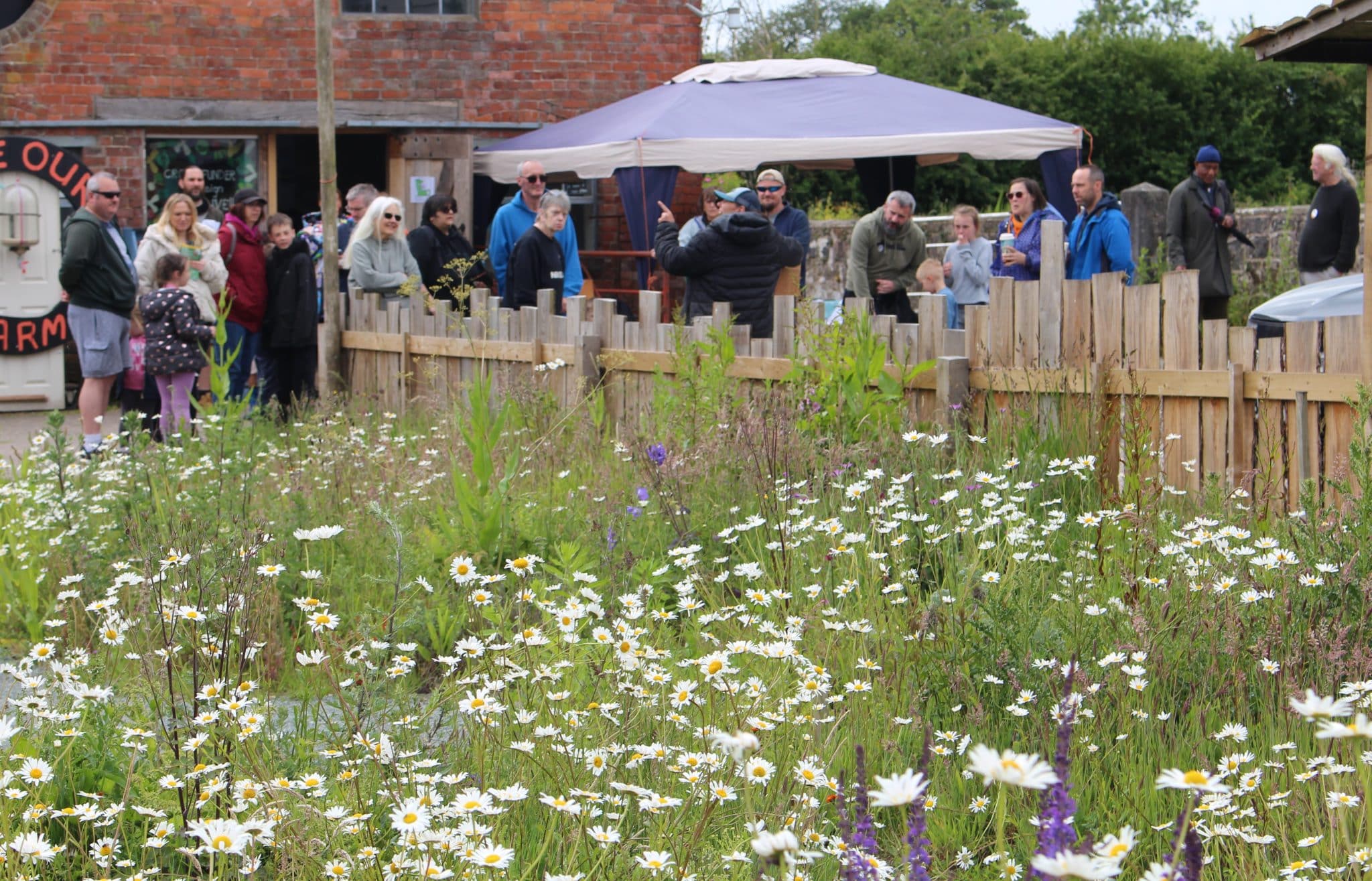 Open day success for Shropshire organic farm at centre of community ...